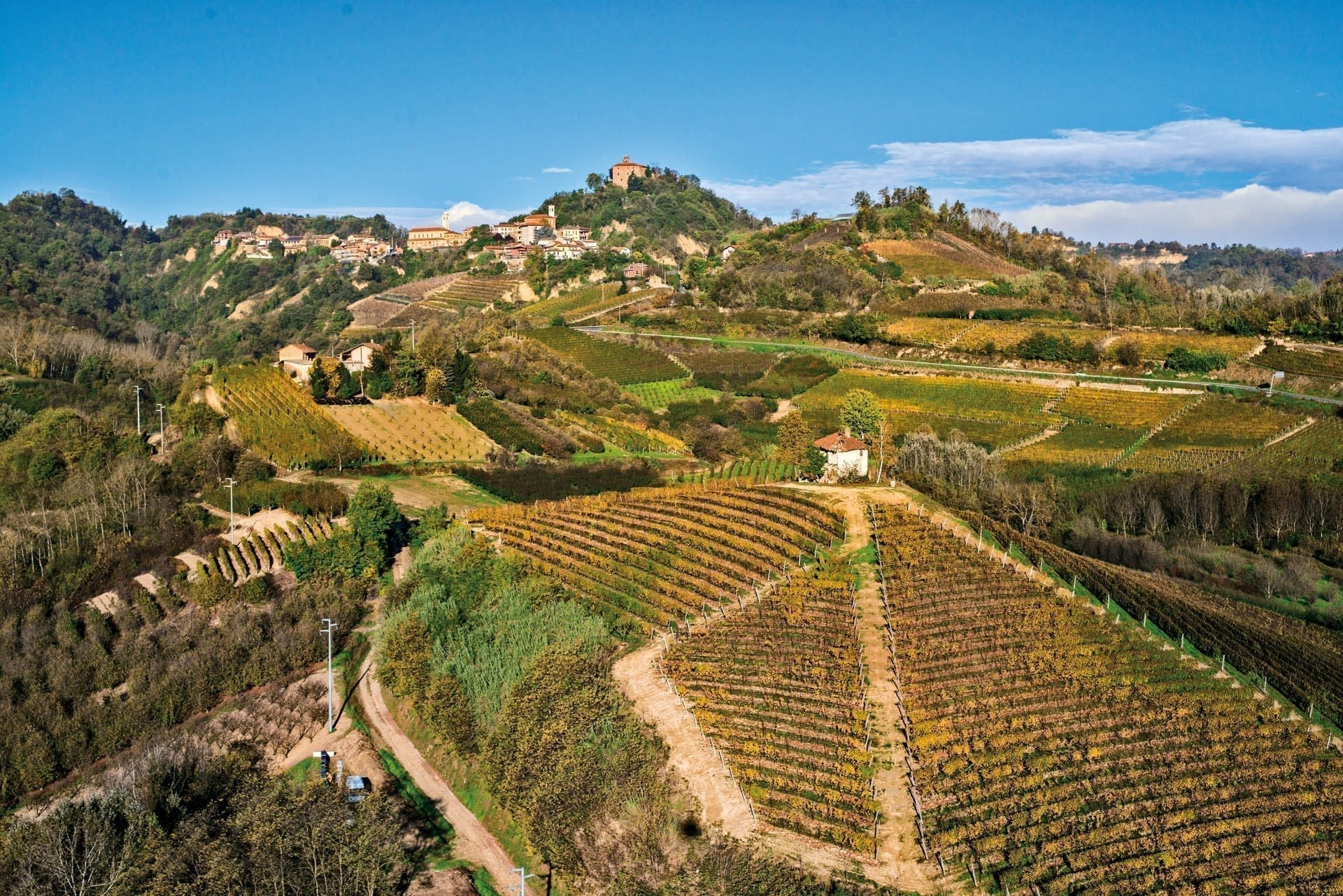 Cascina Lanzarotti - New Winery – The Modest Merchant